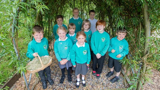 Tebay Primary School Archives - Cumbria Education Trust